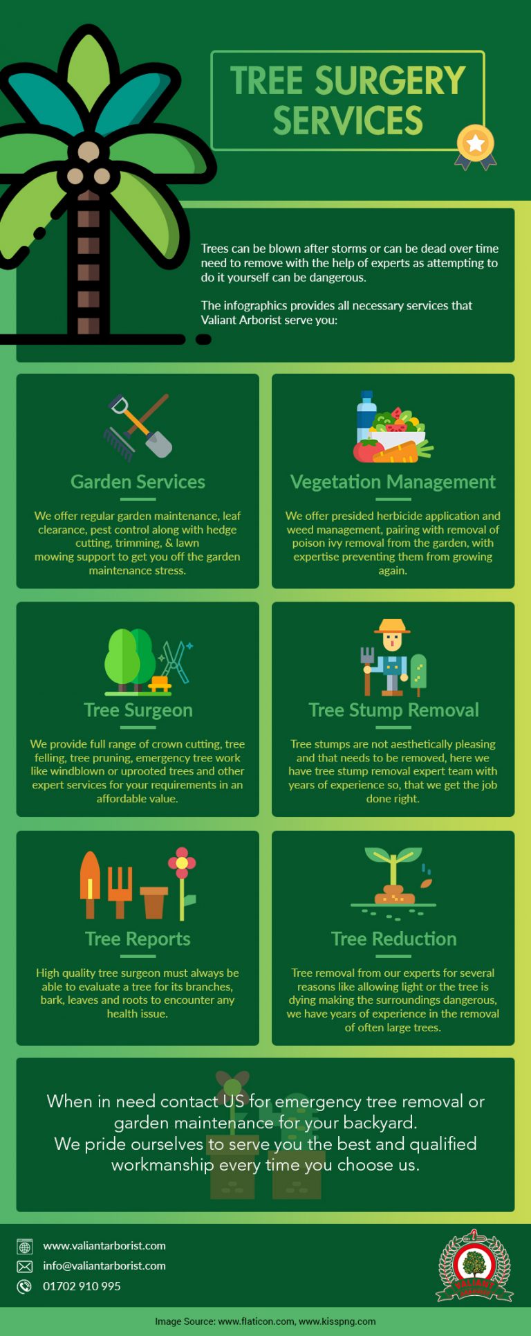 Various Tree Surgery Services Infographic Tree Services various-tree-surgery-services-infographic-tree-services